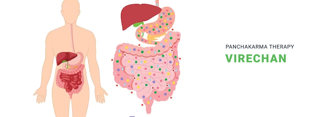Virechan or Purgation - Panchakarma Therapy